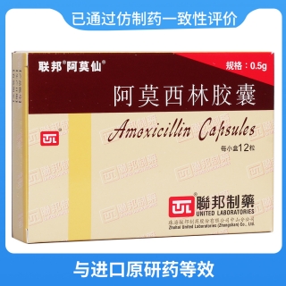 阿莫西林胶囊(阿莫仙)(阿莫西林胶囊) _说明书_作用_效果_价格_健客网