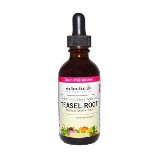 Eclectic Institute Teasel Root(120ml)(Teasel Root) _说明书_作用_效果_价格_方舟健客网上药店