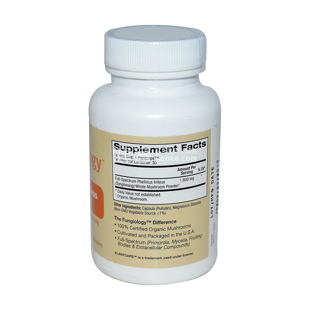 Fungiology Phellinus Linteus(120粒)(Phellinus Linteus) _说明书_作用_效果_价格_方舟健 ...